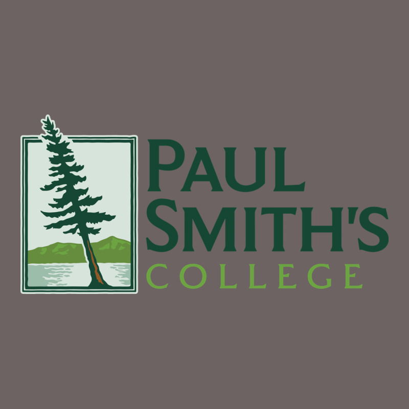 College Of Paul Smith's Adjustable Cap By Craftify - Hatpublic