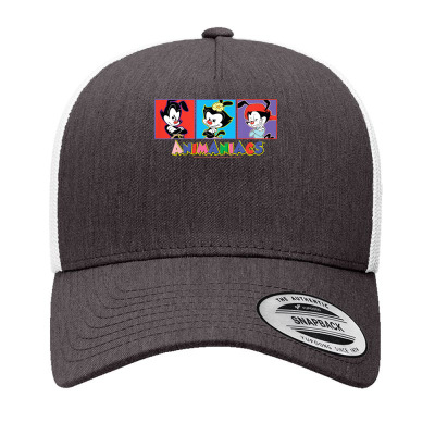 Kids Animaniacs Yakko Wakko And Dot Box Up T Shirt Yupoong Trucker Cap ...